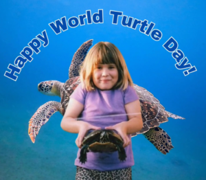 World Turtle Day® – By American Tortoise Rescue®