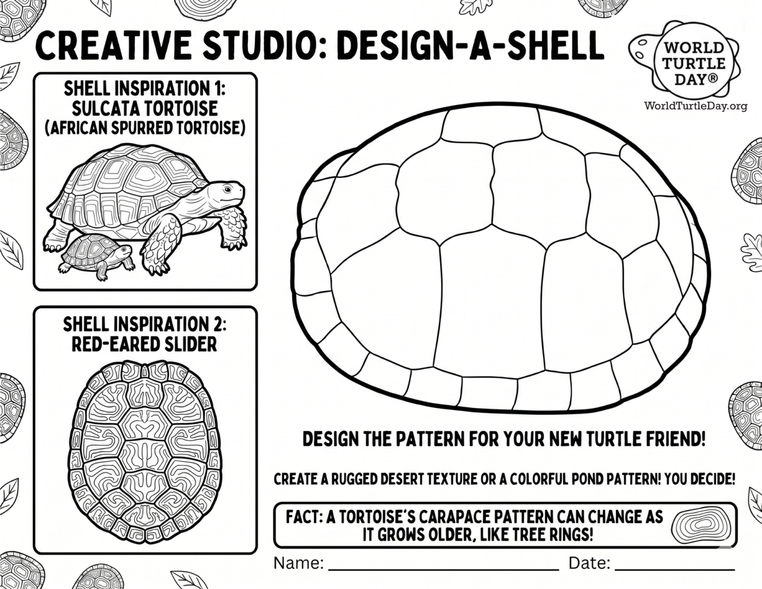 Families – World Turtle Day®